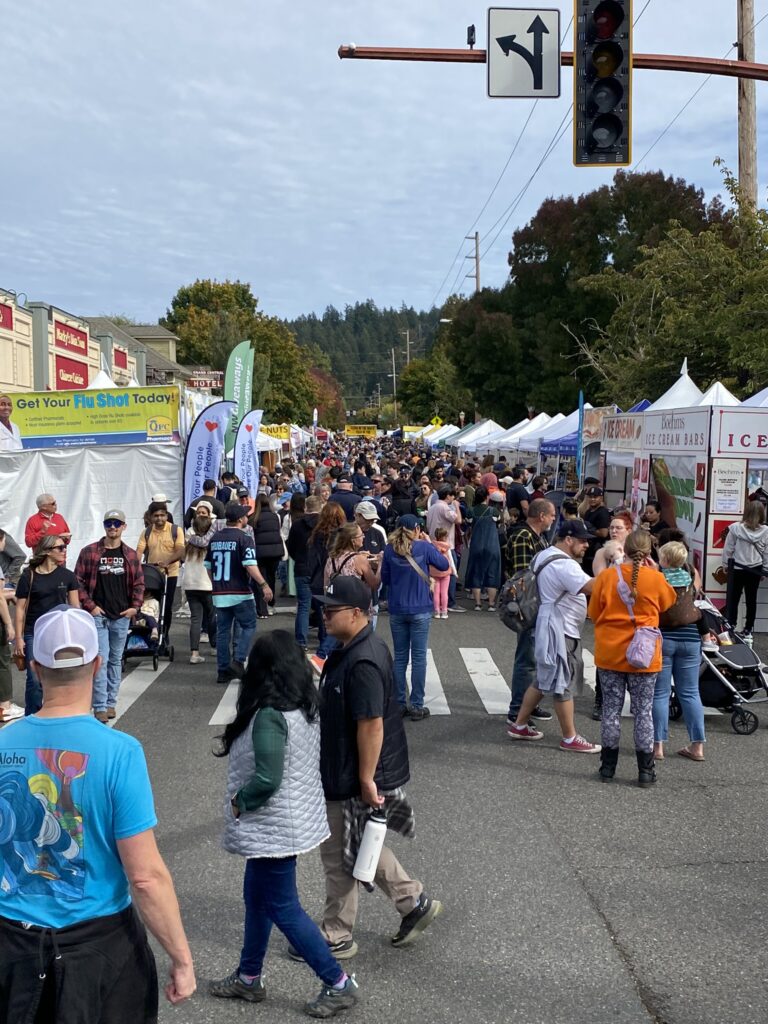 Salmon Days Festival - Seafair